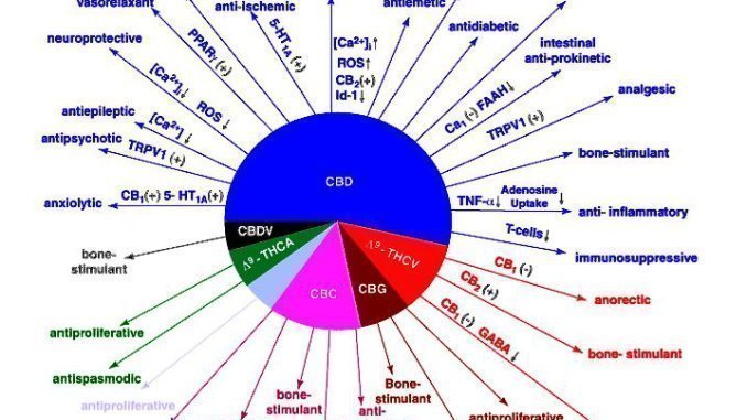 How Many Chemicals In Weed Are There?
